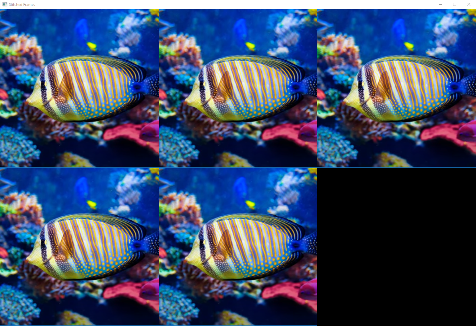 Example: DisplayPort - Opal Kelly Documentation Portal